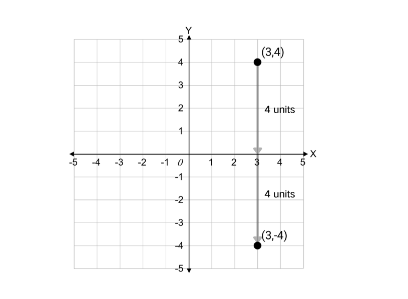 Reflection: Definition and Example | EDU.COM
