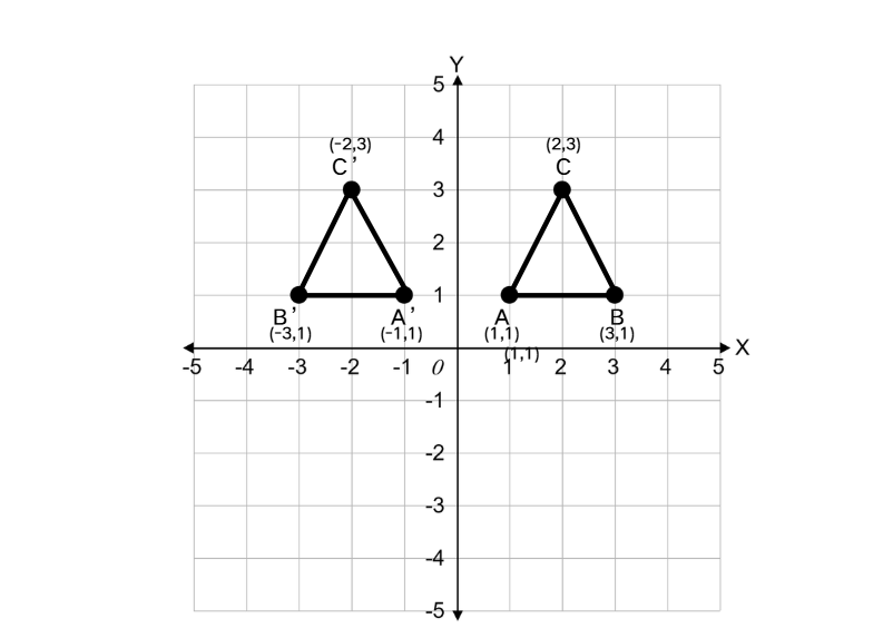 Reflection: Definition and Example | EDU.COM
